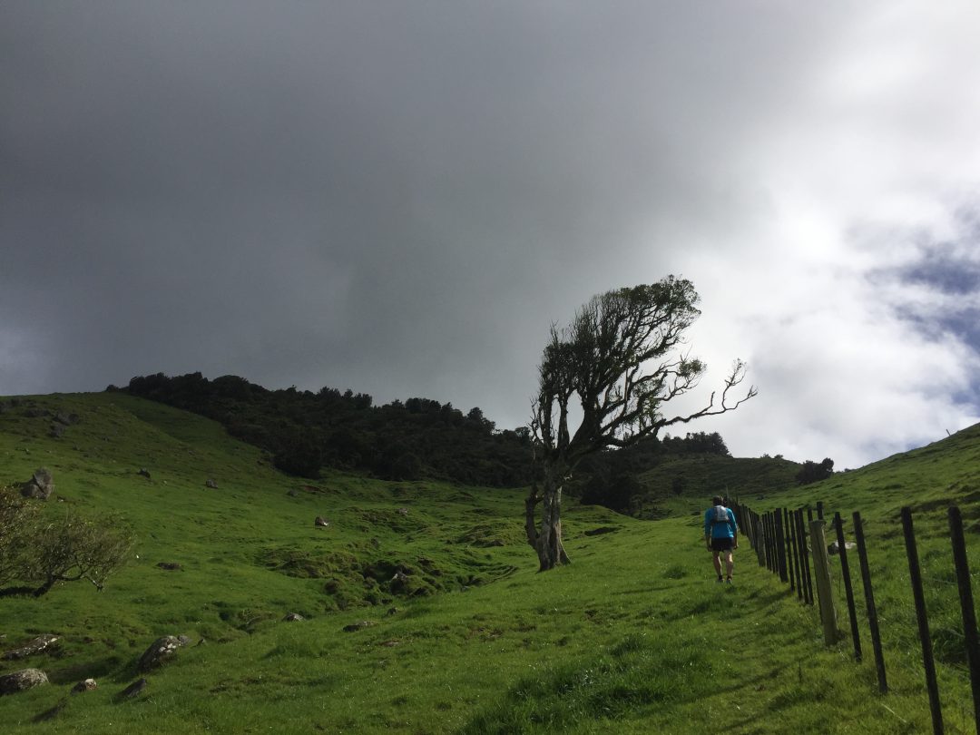 Mount Karioi | TUPILAK.CH